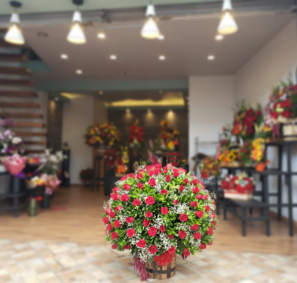 Nosotros – Delia Flores